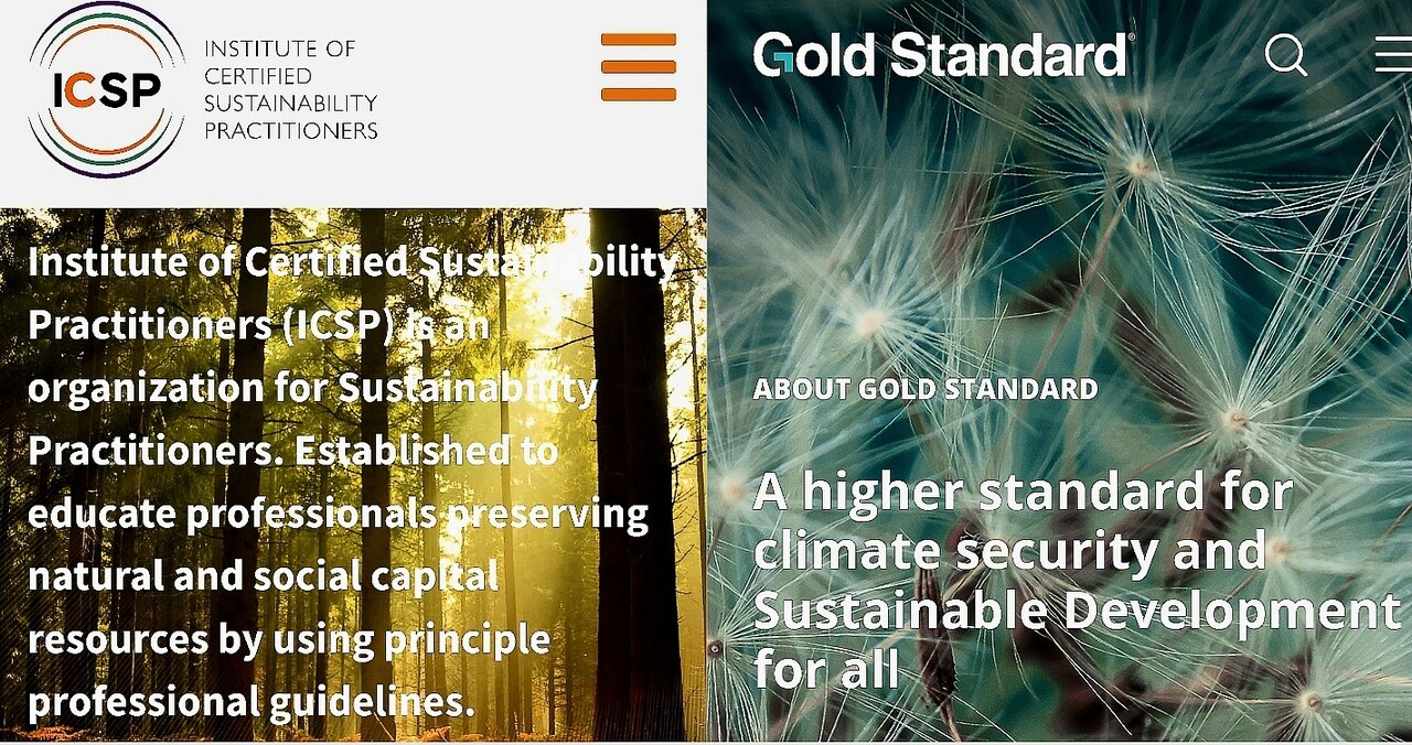 'Gold Standard+印尼 ETS', 탄소시장 "맞손"…국제 인증+국가제도 첫 연계